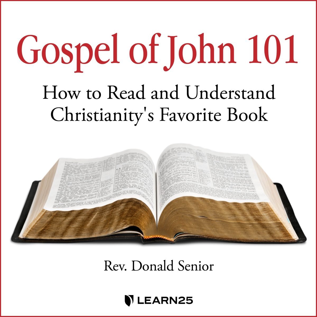 Gospel of John 101: How to Read and Understand Christianity's Favorite ...