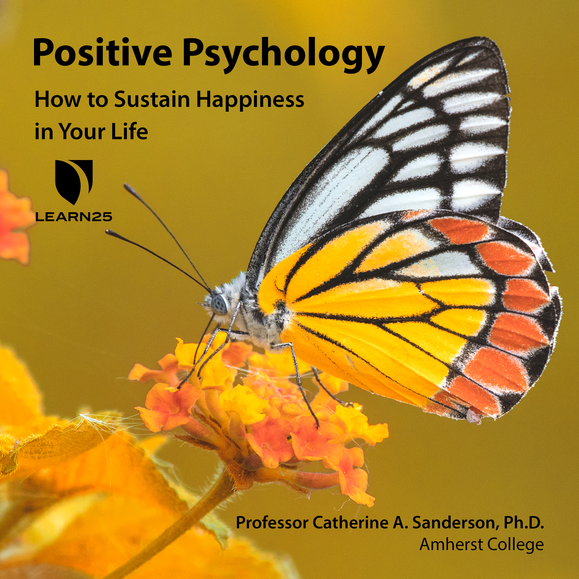 Positive Psychology: How to Sustain Happiness in Your Life | LEARN25
