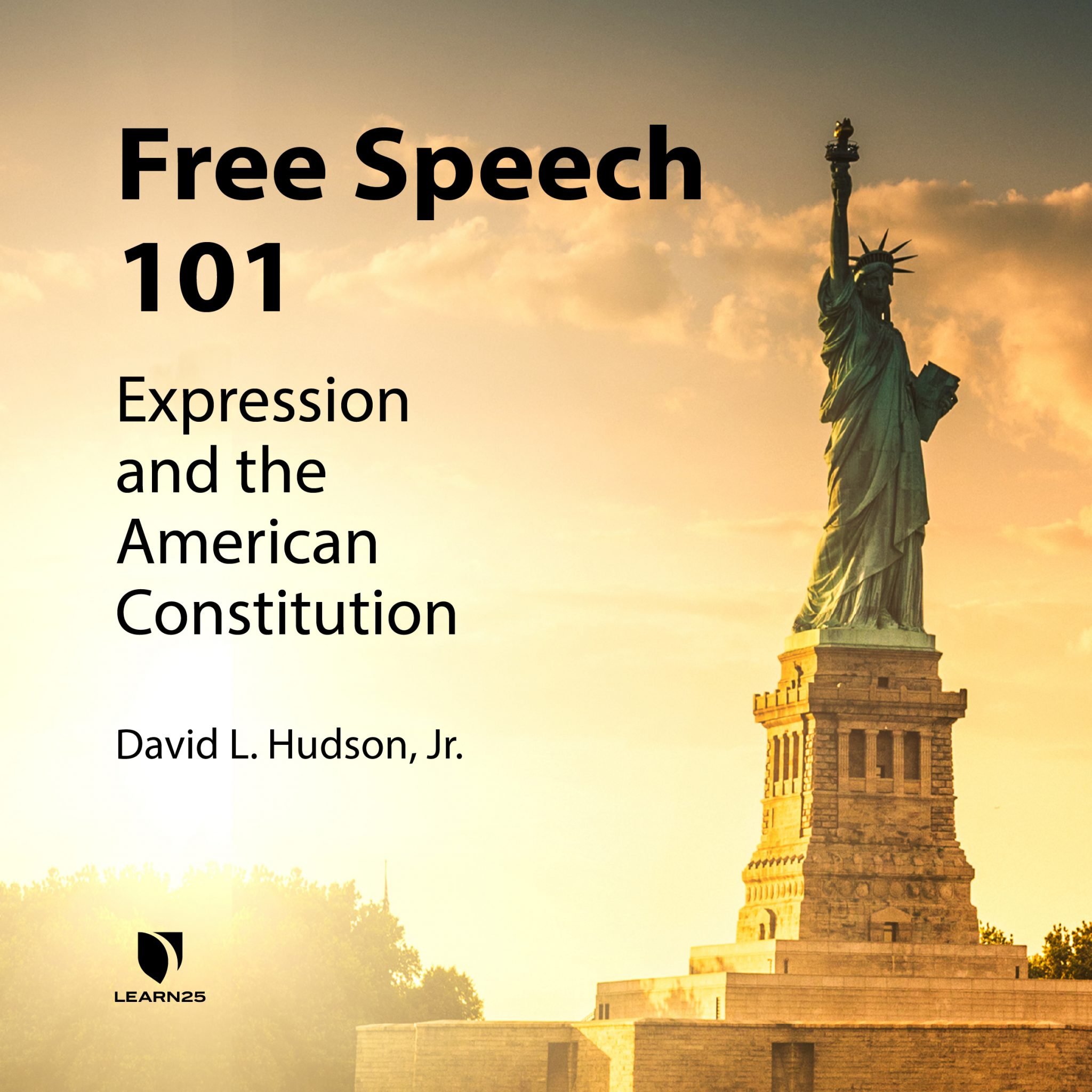 Free Speech 101: Expression and the American Constitution | LEARN25