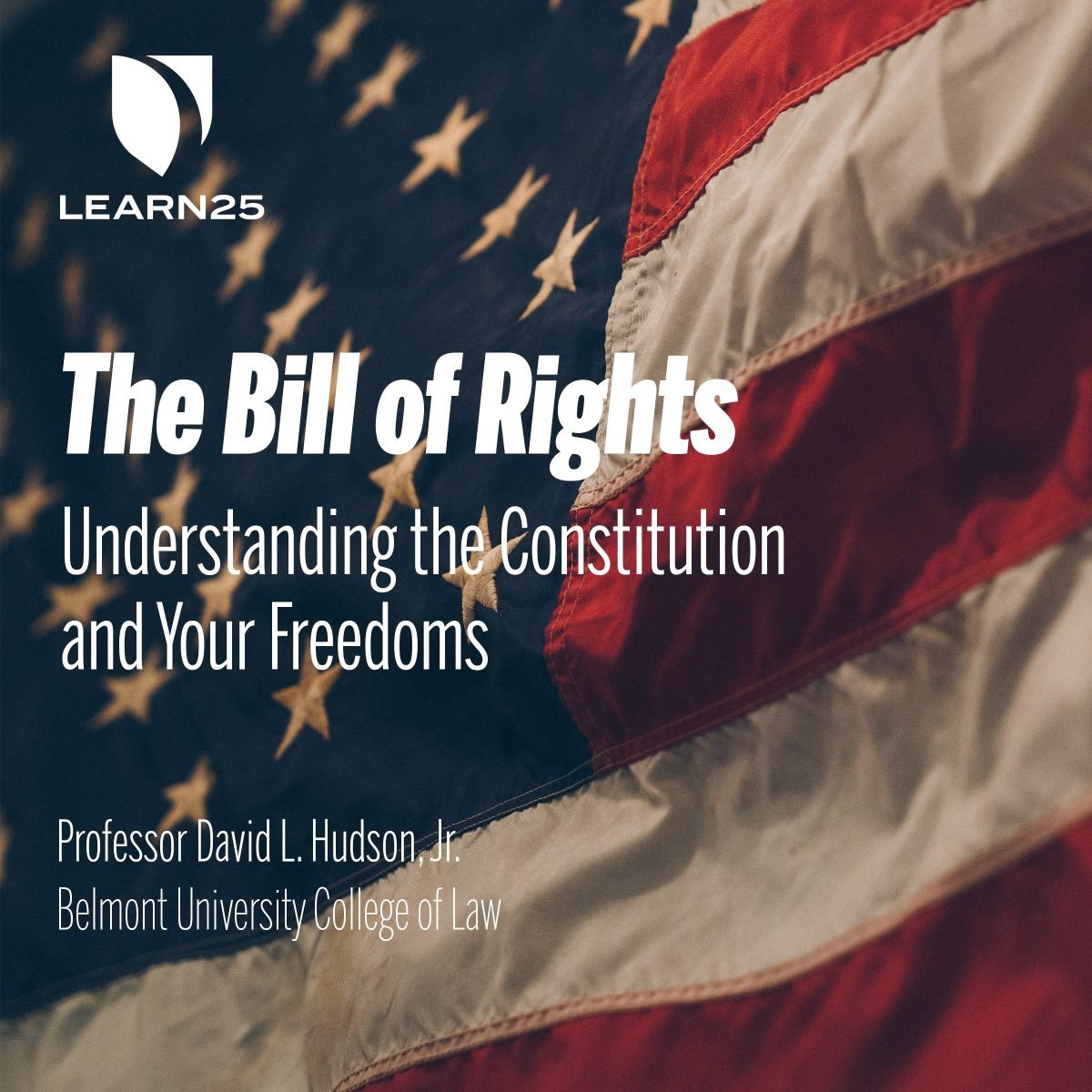 The Bill of Rights: Understanding the Constitution | LEARN25