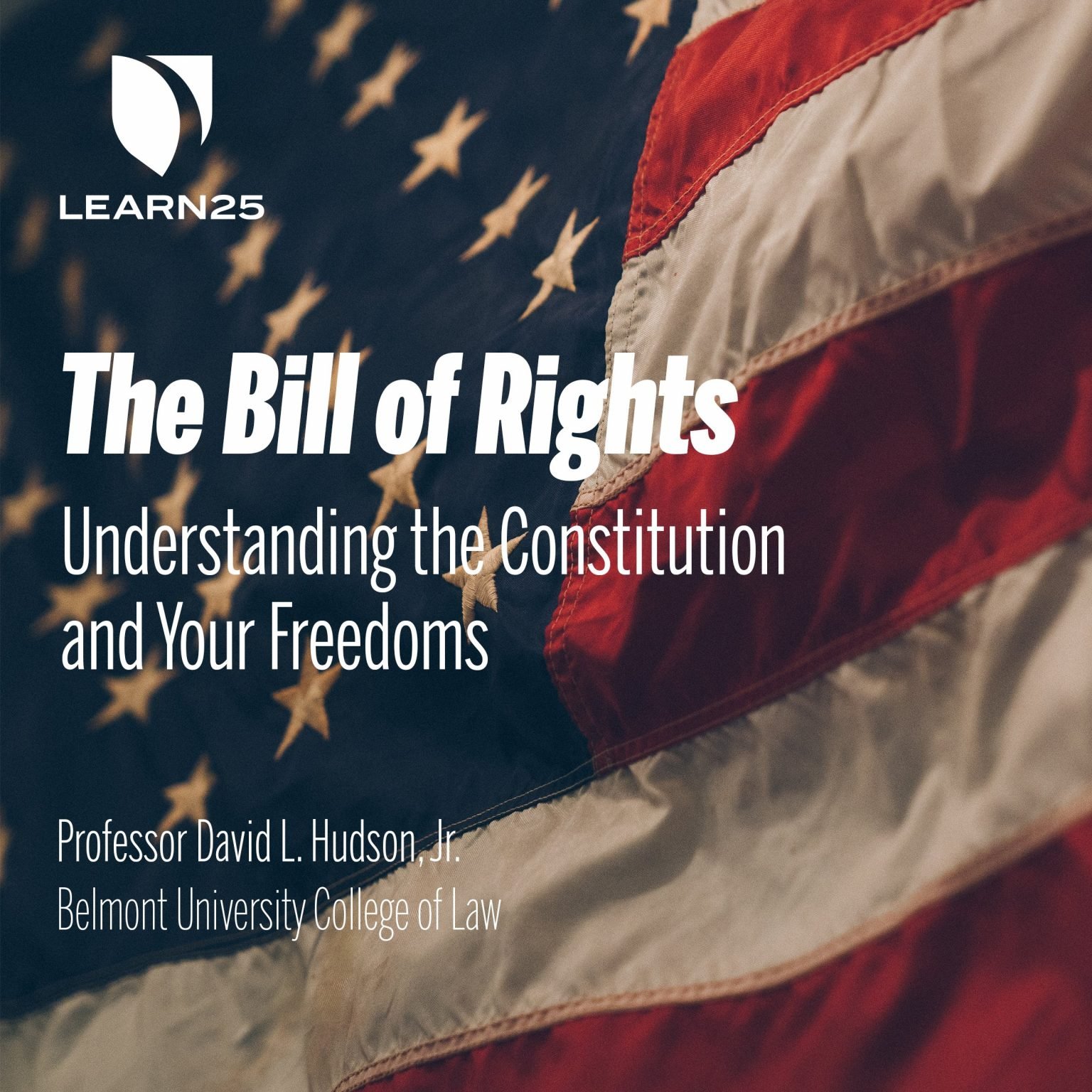 The Bill of Rights: Understanding the Constitution | LEARN25