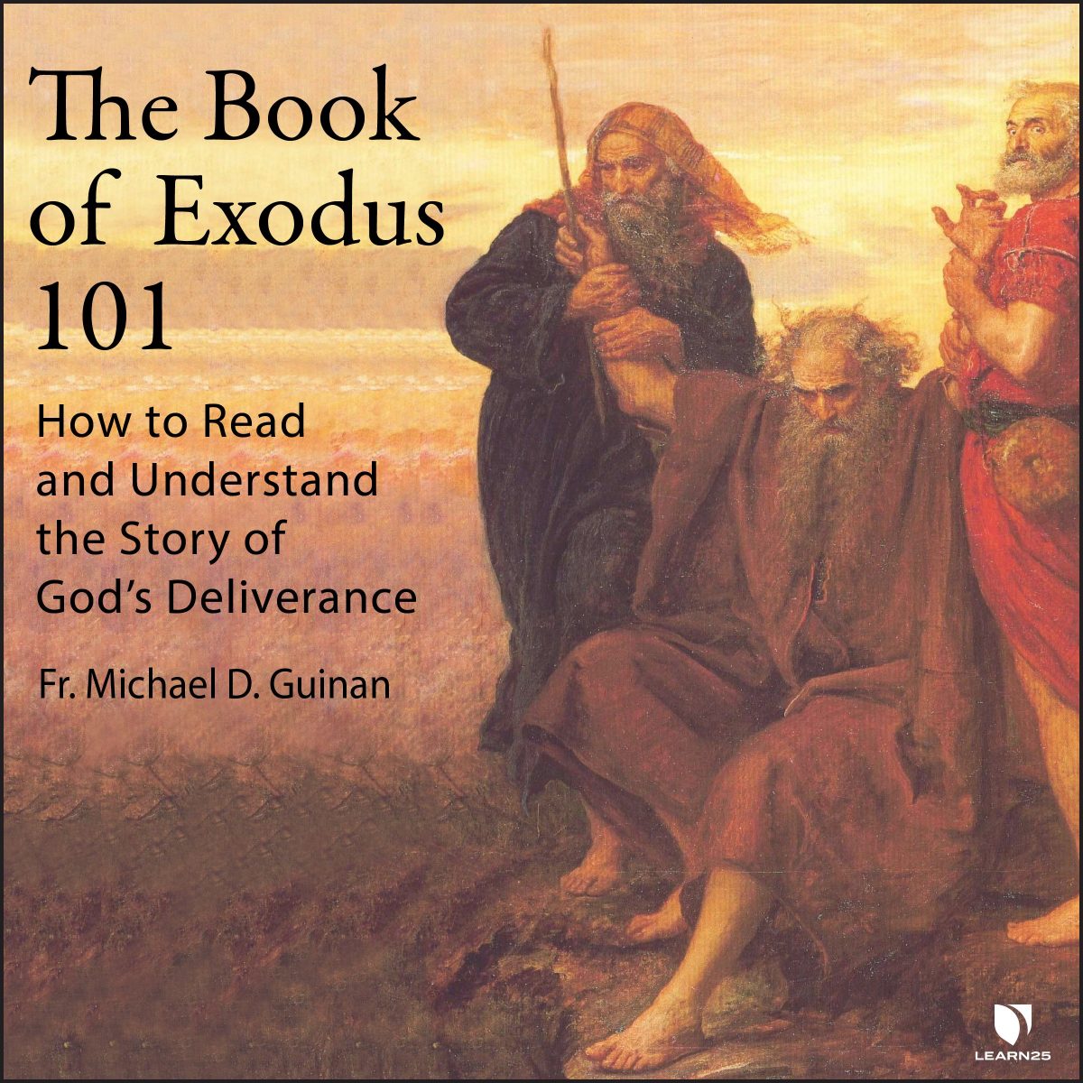 The Book Of Exodus 101 How To Read And Understand The Story Of God s