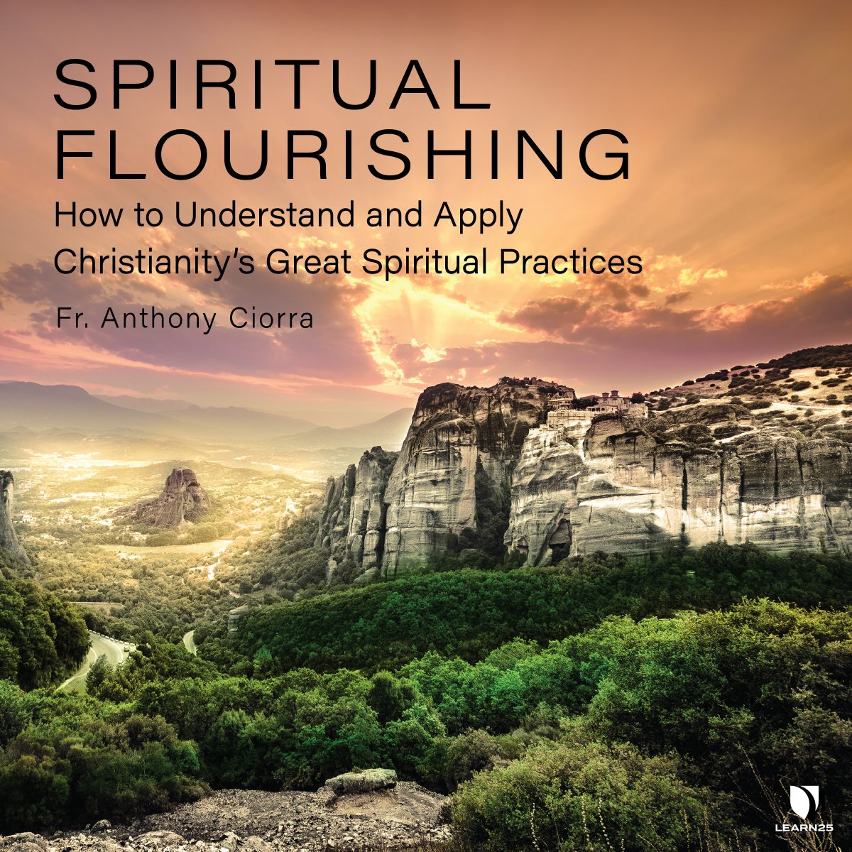 Spiritual Flourishing: How to Understand and Apply Christianity’s Great ...