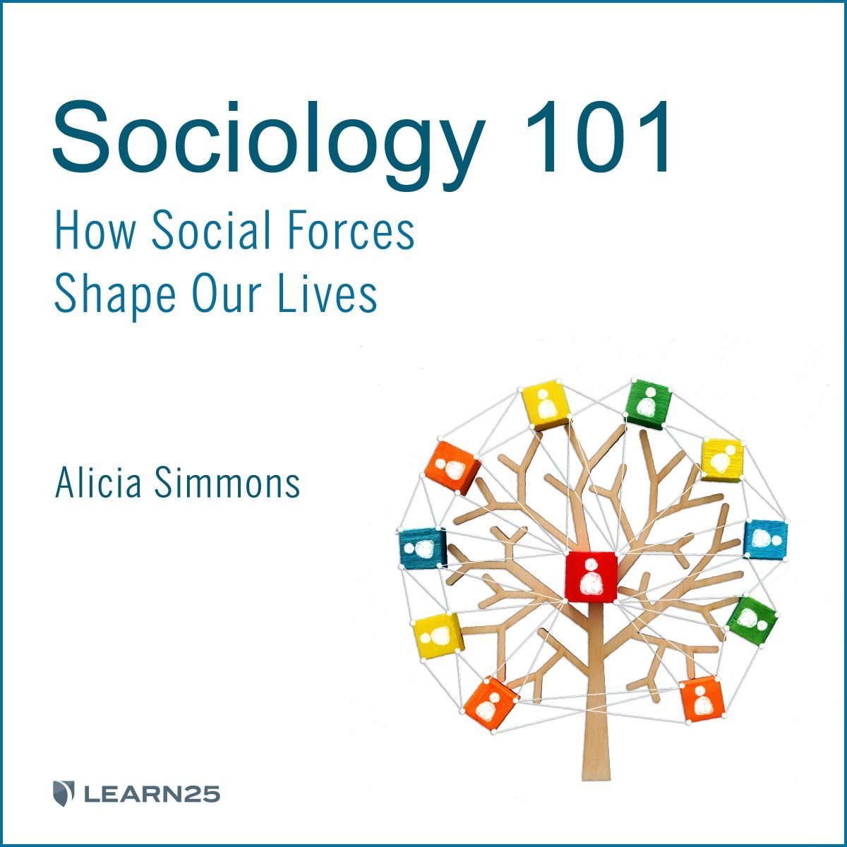 Sociology 101: How Social Forces Shape Our Lives | Audio Course by LEARN25