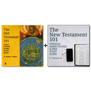Audio Bundle: Enjoying the Old Testament + The New Testament: A Guided ...
