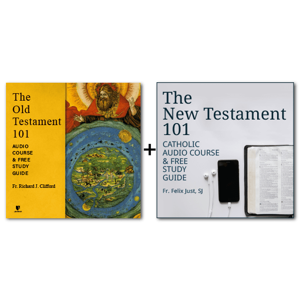 Audio Bundle: Enjoying the Old Testament + The New Testament: A Guided ...