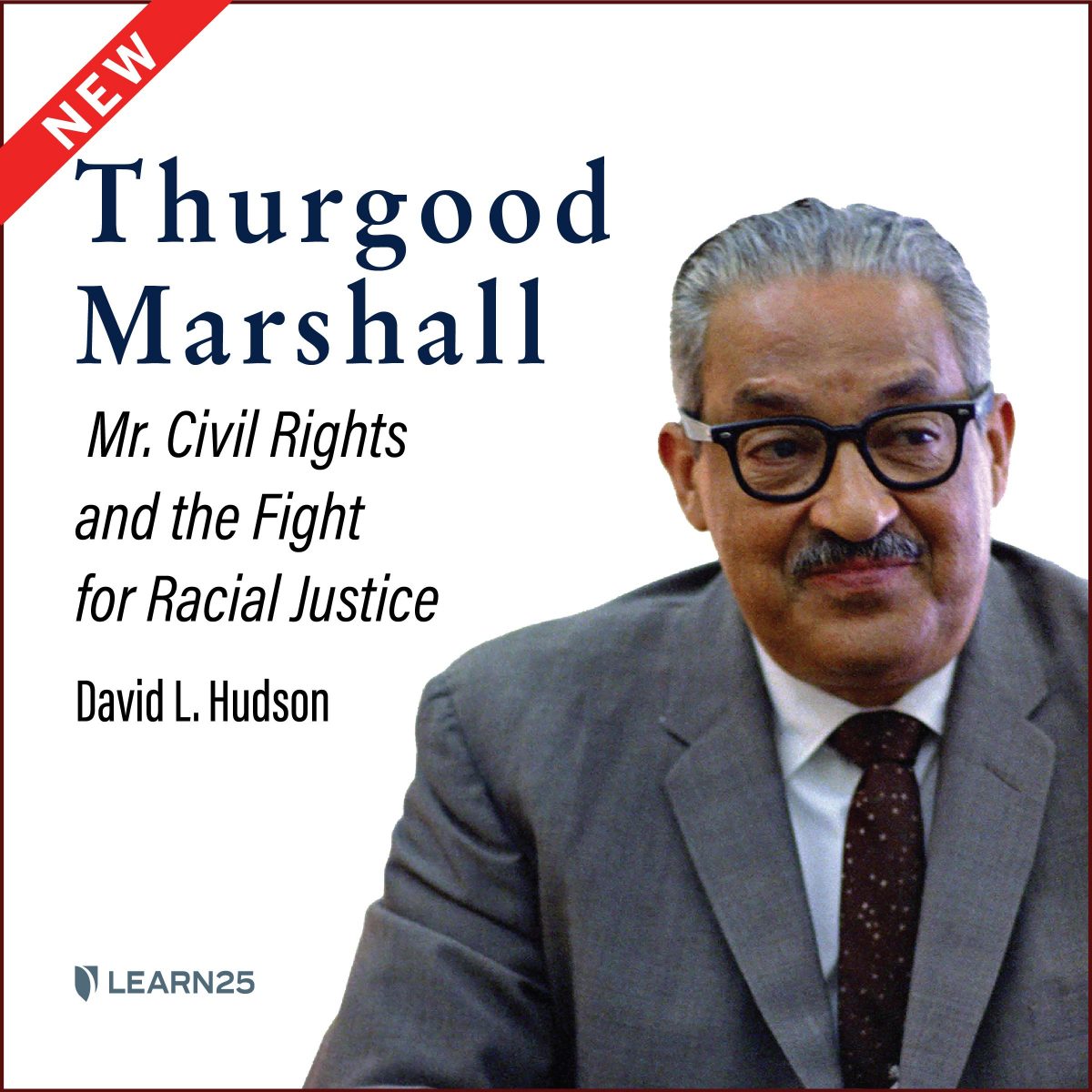 Thurgood Marshall: Mr. Civil Rights and the Fight for Racial Justice ...
