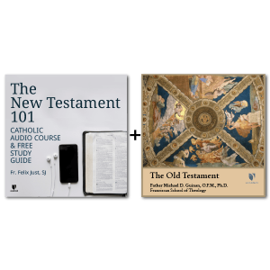 Bundle: The New Testament: A Guided Tour + The Old Testament - 26 CDs ...