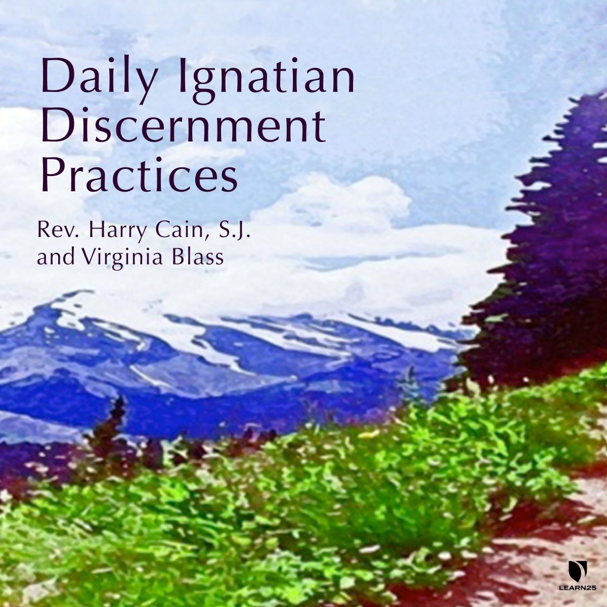Daily Ignatian Discernment Practices | LEARN25
