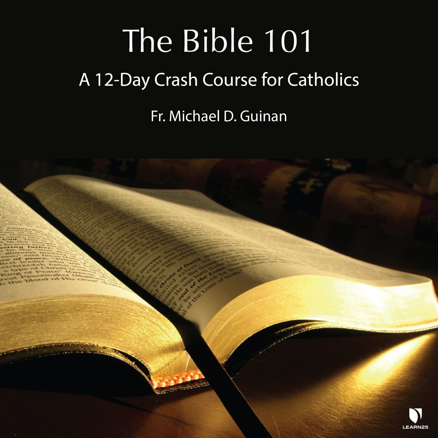 The Bible 101: 12-Day Crash Course for Catholics | LEARN25