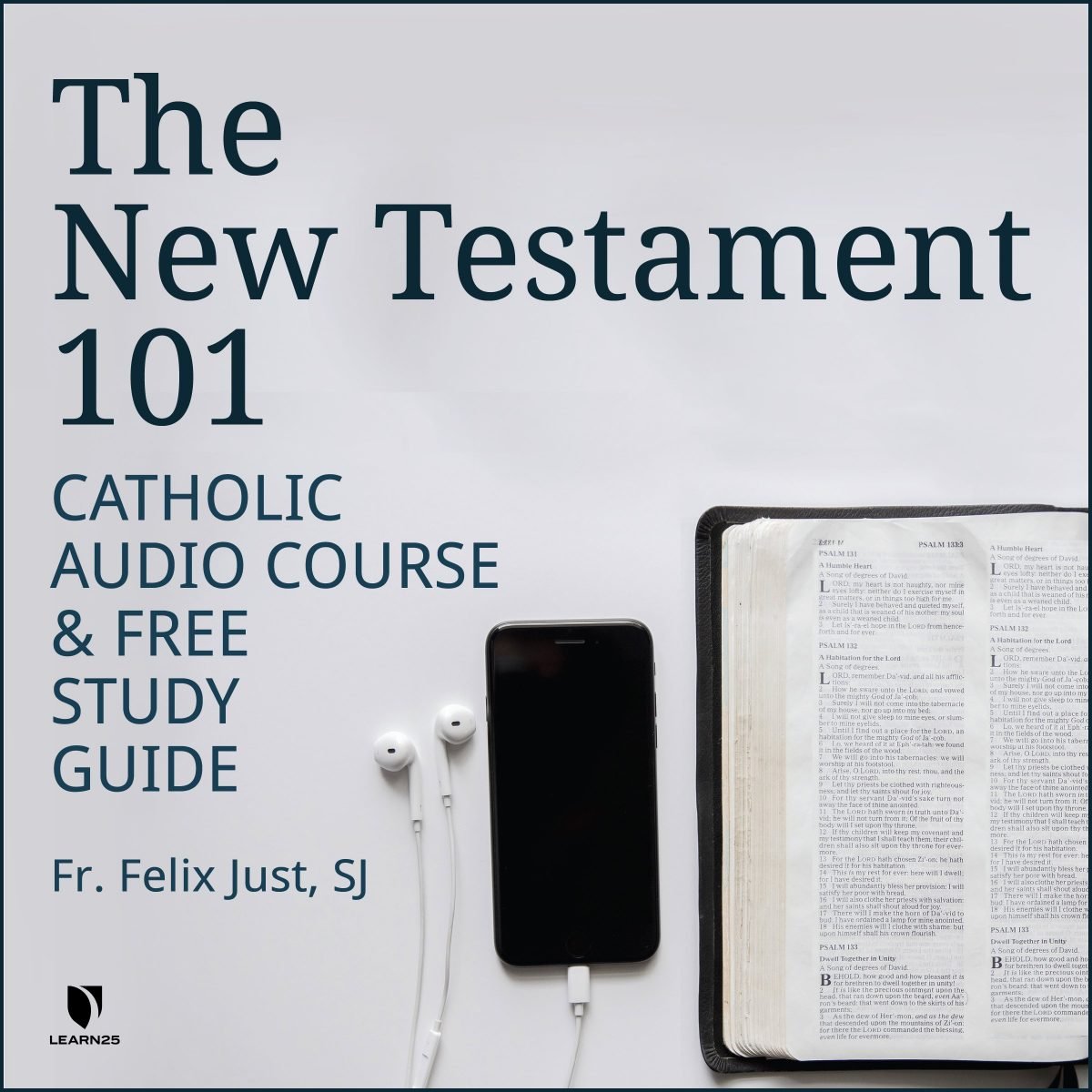 The New Testament 101: Catholic Audio Course & Free Study Guide | LEARN25