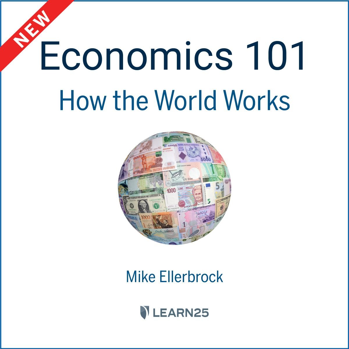 Economics 101: How the World Works | Michael Ellerbrock | LEARN25